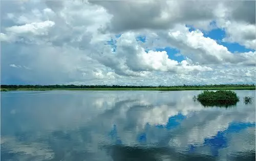 Reserva Nacional de Vida Silvestre Amazónica Manuripi - Periodismo de ...